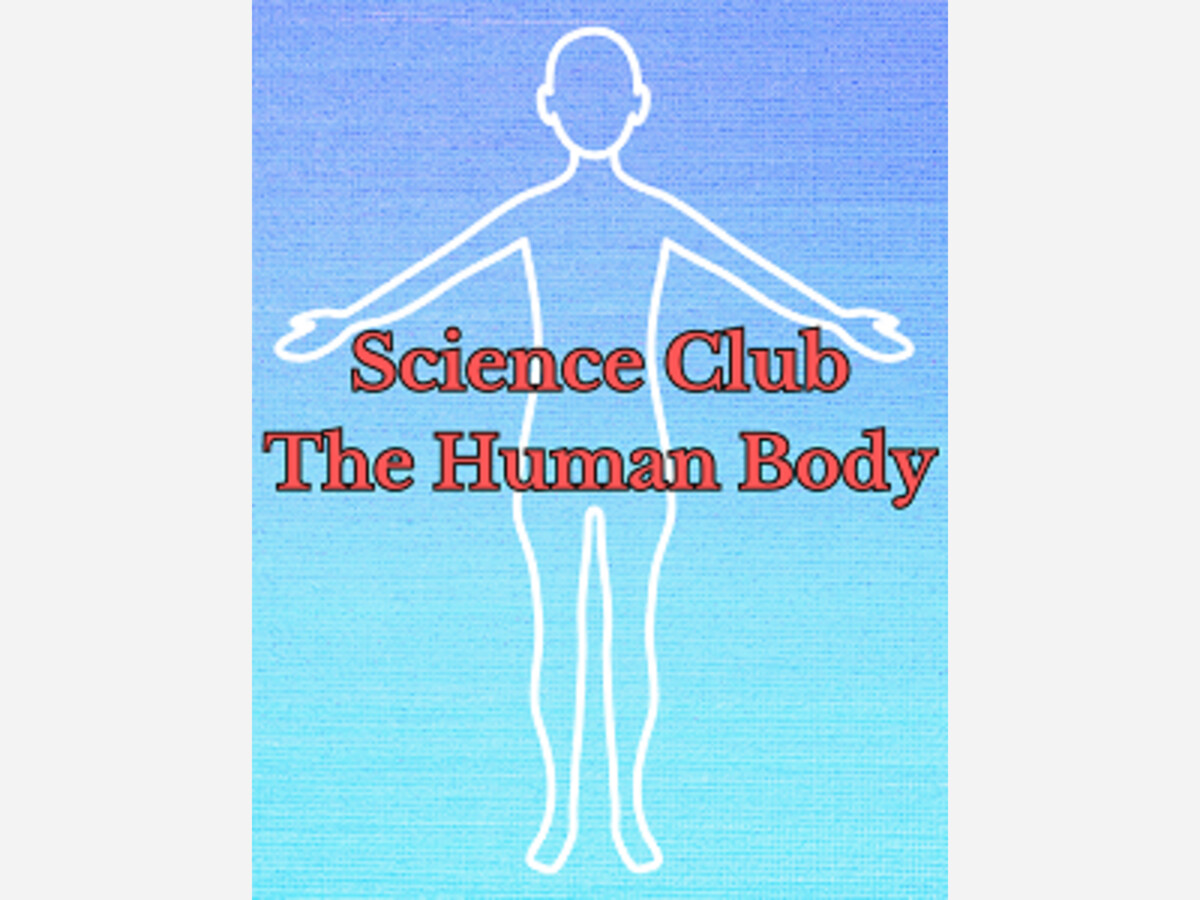 Science Club: The Human Body | The Saline Post