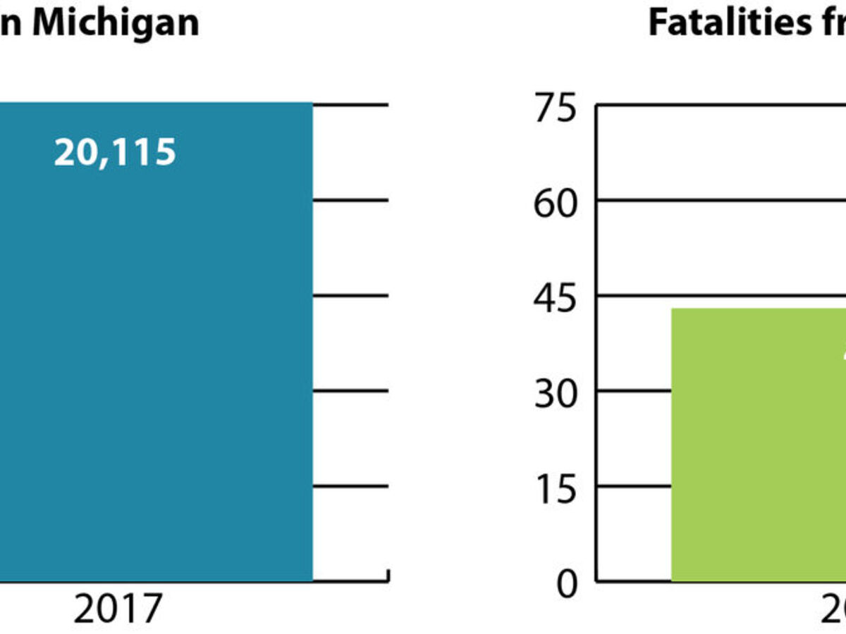 Distracted Driving Fatalities On the Rise in Michigan in 2017 | The ...