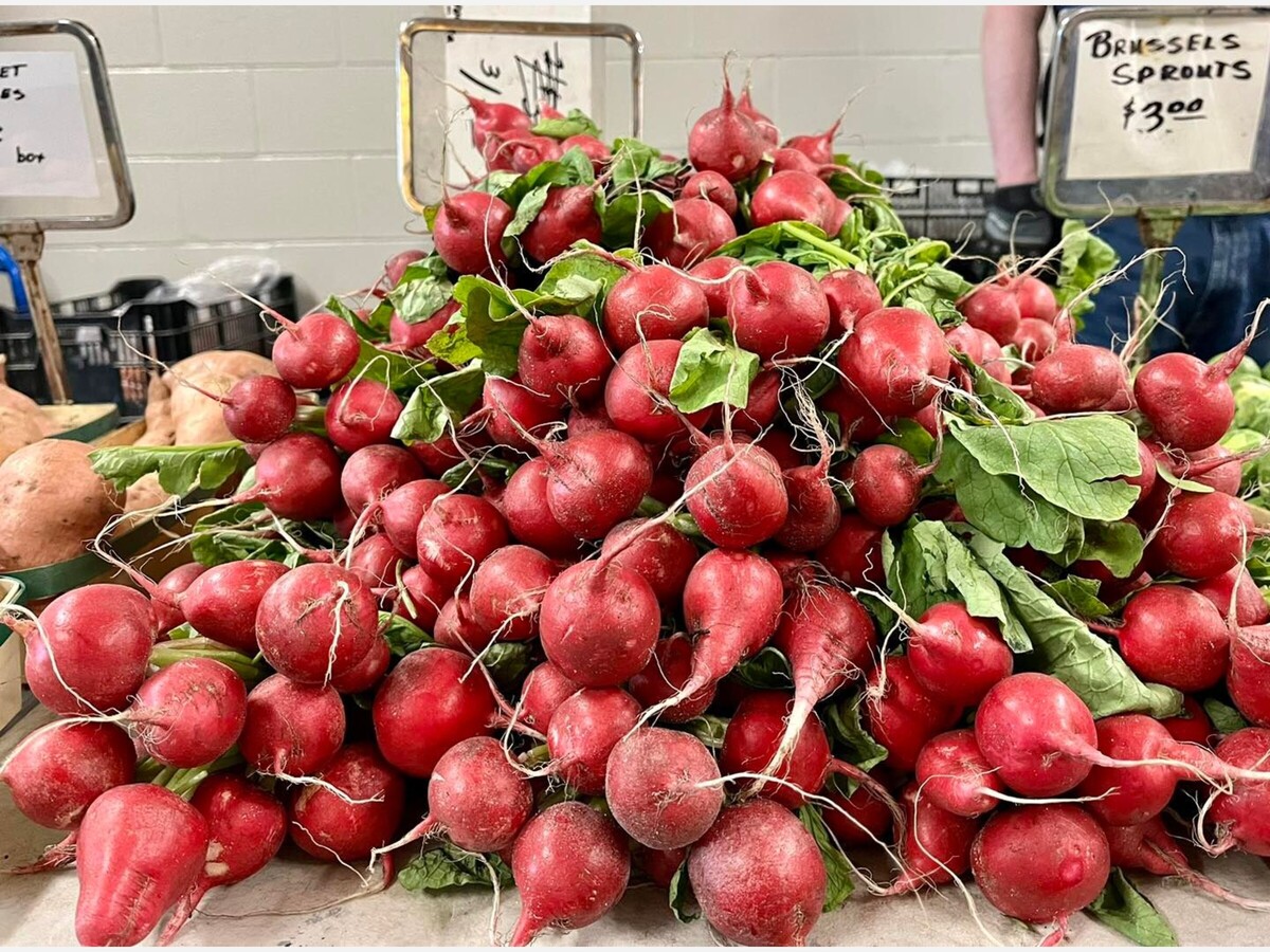 Saline Indoor Farmers Market | The Saline Post